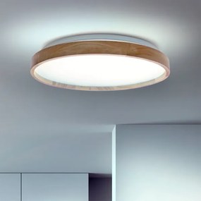 Brilagi - LED Stmívatelné stropní svítidlo ALSON LED/48W/230V 3000-6500K + DO
