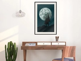 Plakát Krásná Úplněk - nebeská krajina a lesní stromy na pozadí noci