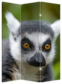 Paraván - Lemur (126x170 cm)