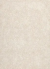 Koberce Breno Kusový koberec PIAZZO 12268/100, Béžová, Vícebarevné, 120 x 170 cm