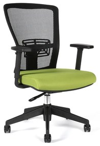 Office Pro Kancelářská židle THEMIS bez podhlavníku Barva potahu: TD-20 zelená