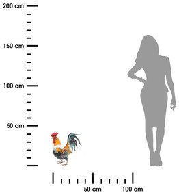 Zahradní kovová figurka Rooster 1, 40,5 cm, vícebarevná