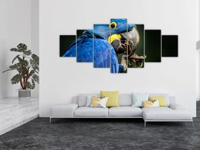 Obraz papouška (210x100 cm)