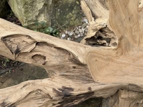 Královské křeslo z teakového kořene 195 cm – jedinečná lavice