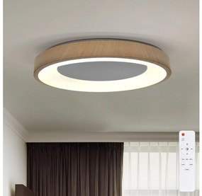 Brilagi - LED Stmívatel. svítidlo DORIA LED/60W/230V 3000-6500K pr. 60 cm + DO