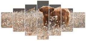 Obraz - Skotská kráva v kvítí (210x100 cm)