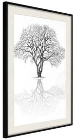 Artgeist Plakát zrcadlení stromu Velikosti (šířkaxvýška): 30x45, Finální vzhled: Černý rám s paspartou