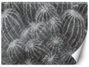 Gario Fototapeta Kaktusy v šedé barvě Materiál: Vliesová, Rozměry: 200 x 140 cm