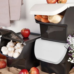 VILDE Sada 2ks úložných boxů VEGBOX na brambory a zeleninu s větráním, VEGBOX černý+šedý (14l )