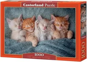 Castorland 105144 Sladká koťata / 1000 dílků / od 9 let