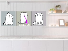 Obraz Miezekotze: Kočičí trio