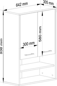 Koupelnová skříňka FIN H934 W64 2D 1P grafitová / bílá