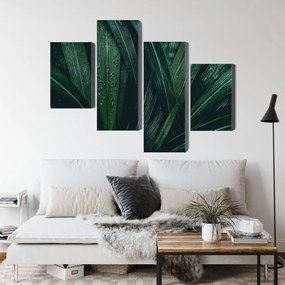 Vícedílný obraz Tmavě Zelené Listy Na Makro Stupnici Nedostatek Nedostatek Plátno Canvas 80x50