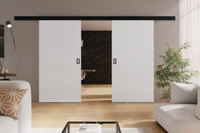 Posuvné dveře s krycí lištou WERDI DUO 212 bílý