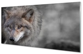 akrylový obraz Vlk 100x50 cm