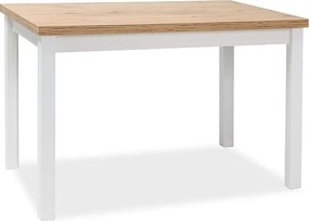 Casarredo - Komfort nábytek Jídelní stůl ADAM 120x68, dub lancelot/bílá mat