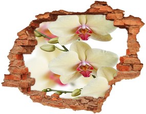 Wallmuralia Fototapeta nálepka na zeď Orchidej 90x70 cm