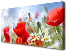 Obraz na plátně Máky Sedmikrásky Květiny 140x70 cm