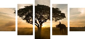 5-dílný obraz slon při východu slunce Varianta: 100x50