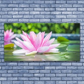 Plexisklo-obraz Vodní Lilie Rybník Příroda 120x60 cm