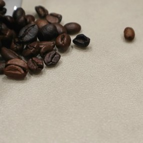 Gerflor, PVC podlaha - lino AladinTex Ultra 2366 Chicago sand, na míru, šíře 4m, béžová, filc, chodba / předsíň