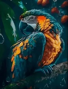 NORIMPEX Diamantové malování Papoušek / 30x40 cm