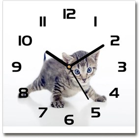 Wallmuralia Skleněné nástěnné hodiny čtverec Malá kočka 30x30 cm