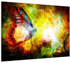 Skleněný obraz - Kosmický motýl (70x50 cm)