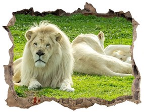 Wallmuralia Samolepící díra nálepka Béžoví lvi 95x64 cm