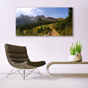 Plexisklo-obraz Hala Góry Droga Natura Łąka 120x60 cm