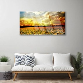 Obraz na skle Pole Slunečnic Krajina 140x70 cm