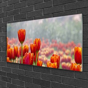 Obraz na skle Tulipány Květiny Rostlina 125x50 cm