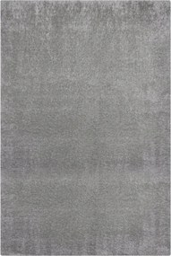 120x170 Kusový koberec Indulgence Velvet Pale Grey