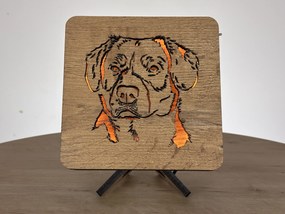 Li-Go "Rottwailer" lampa 19x19cm provedení povrchu: dub