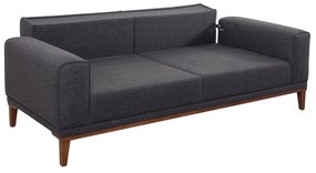 Hanah Home Pohovka LIONES s odkládacím stolkem antracitová 223 cm