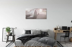 Obrazy na plátně Stříbrné auto street tree 120x60 cm