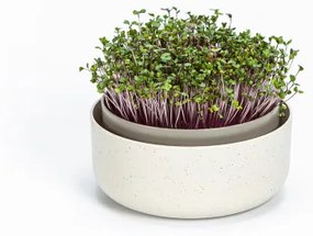 Microgreens - slonová kost s kávovou sedlinou