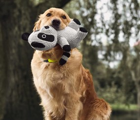 Tchibo - LED obojek pro psy - barva: žlutá