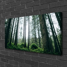 Obraz na plátně Les Příroda 120x60 cm