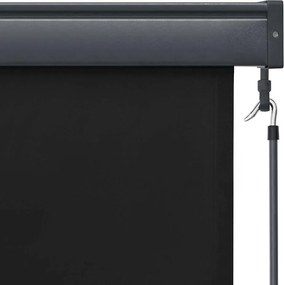 Venkovní roleta 100 x 250 cm antracitová 145958