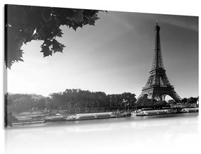 Obraz podzimní Paříž v černobílém provedení - 90x60 cm