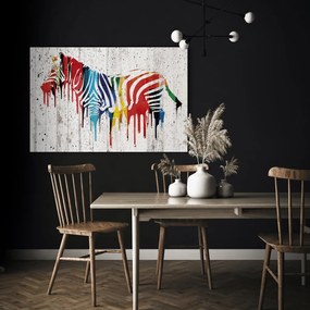 Obraz Barevná zebra