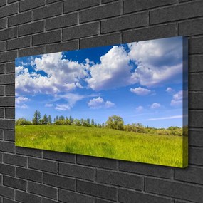 Obraz na plátně Louka Tráva Nebe Krajina 120x60 cm
