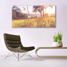 akrylový obraz Louka Tráva Strom Příroda 120x60 cm