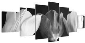 Obraz - Černobílé květy tulipánů (210x100 cm)