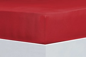 Florella Prostěradlo Avance Jersey 45 Rubin, 90-100x200 cm