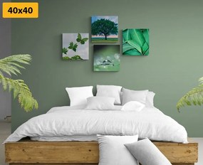 Set obrazů příroda plná zeleně - 4x 40x40 cm