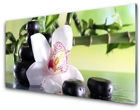 Plexisklo-obraz Orchidej Kameny Bambus 100x50 cm