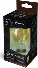 Toolight - LED žárovka E-27 230V 2W Edison 14077, teplá, OSW-01029