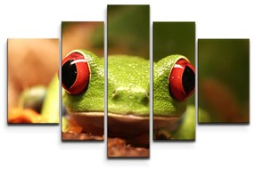 Sablio Obraz - 5-dílný Zelená žába - 125x90 cm